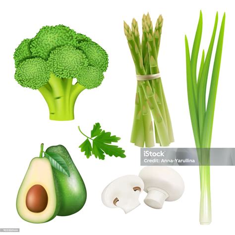 아보카도 브로콜리 아스파라거스 버섯과 흰색 바탕에 현실적인 야채 격리 아이콘 설정 합니다 벡터 일러스트 레이 션 0명에 대한 스톡 벡터 아트 및 기타 이미지 Istock
