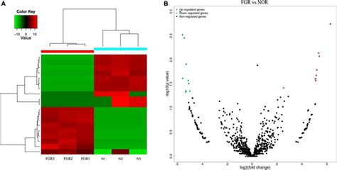Bioinformatic Analysis Of The Results Of Circrna A Heatmap Of Download Scientific Diagram