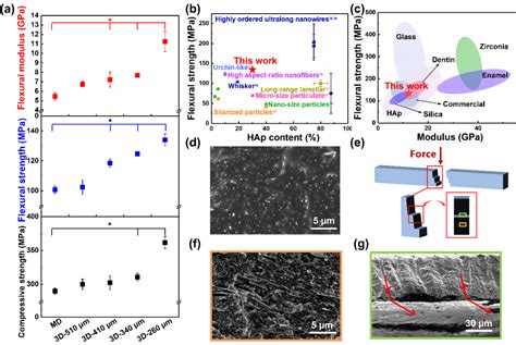 东华大学朱美芳院士、张耀鹏教授 Adv Sci ：3d打印仿生高强度、多尺度、高精度的生物活性牙冠 中国聚合物网科教新闻