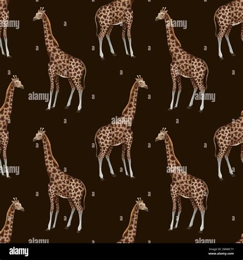 seamless pattern with giraffe vector stock vector image and art alamy