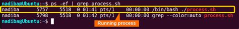 Check If A Process Is Running In Bash 6 Methods Linuxsimply
