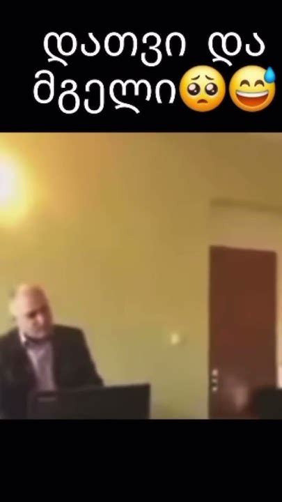 დათვი და მგელი Youtube