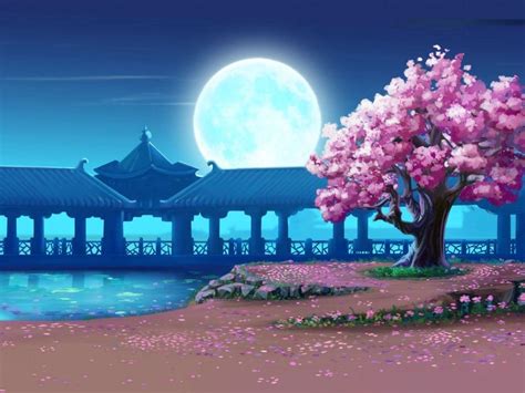 Cherry Blossoms Anime Scenery Wallpapers Top Free Cherry Blossoms
