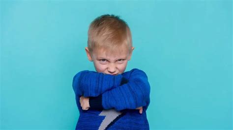 10 Common Misconceptions About Pda In Autism