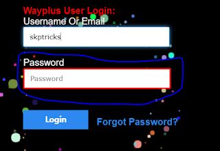 How To Highlight An Element In Selenium WebDriver SKPTRICKS