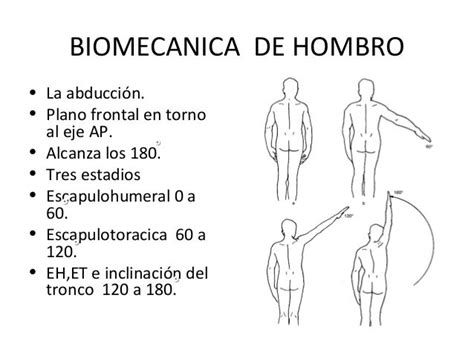Analisis De Movimiento Flexion De Hombro