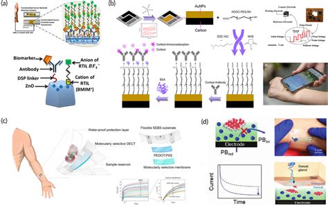 Development Of Antibody And Molecular Imprinting Technology In Wearable Download Scientific