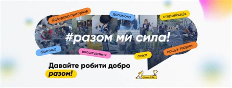 Молодіжна Ліга Захисту Тварин Велика кількість тварин в Києві та Київській області потребує