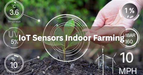 Iot Sensors Indoor Farming Boost Yields Like Never Before