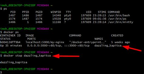 Stopping Removing And Naming Docker Container Techdirectarchive