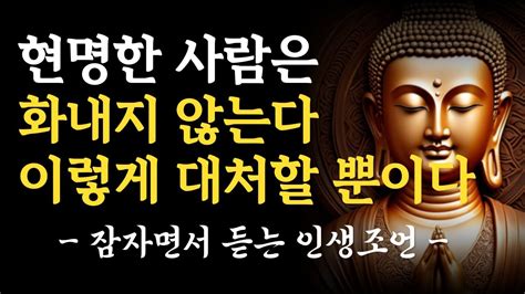 현명한 사람은 절대 화내지 않는다 다만 이렇게 대처할 뿐이다｜누가 날 무시하면 이 한마디로 받아쳐라 태도가 180도 바뀐다｜잠자면서 듣는 부처님 말씀｜명언｜조언