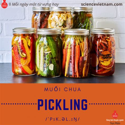 Pickling Science Vietnam