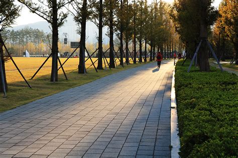 노년의 고통이란 인간의 최후 완성을 위한 선물