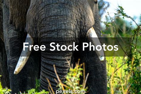 Grassland Texture Photos Download The Best Free Grassland Texture