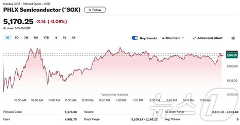 엔비디아 140 상승에도 반도체지수 006 하락상보