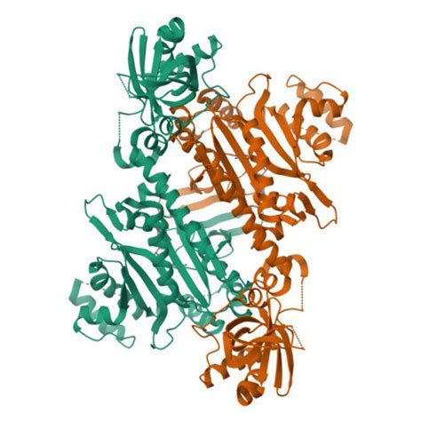 Rcsb Pdb 9qc3 Crystal Structure Of Lysyl Trna Synthetase From Mycobacterium Tuberculosis