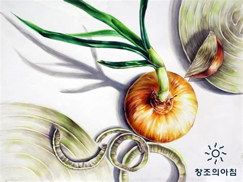 기초디자인 건국대 기디 입시미술 기초디자인 개체묘사 양파 일러스트 디자인 그림 디자인 평면 디자인 일러스트 양파