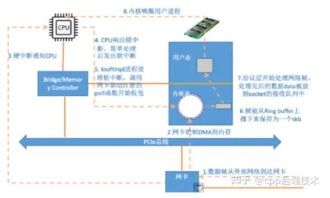 Linux网络包的收发深入讲解 高性能服务器开发
