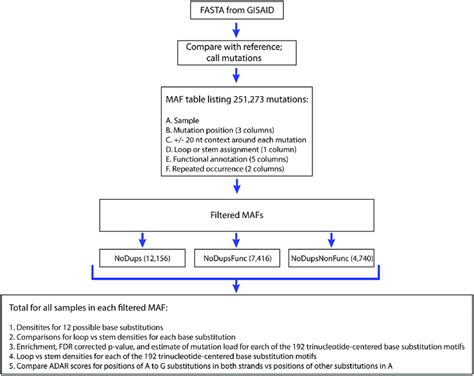 analysis workflow maf mutation annotation format table each filtered