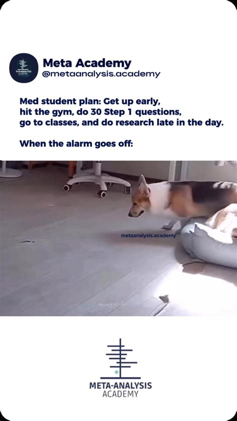 Meta Analysis Academy Metaanalysis Academy • Instagram Photos And Videos