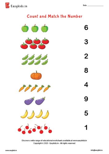 Lkg Math Worksheets