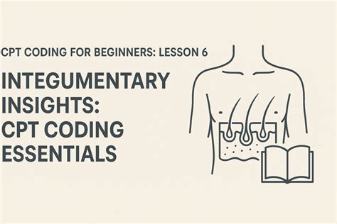 Online Course CPT Coding For Beginners CEU Certificate