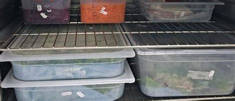 Using A Fifo Food Storage System Advice And Checklist