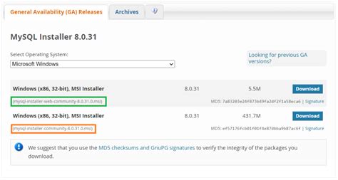 Install Mysql On Windows Complete Guide Mrexamples