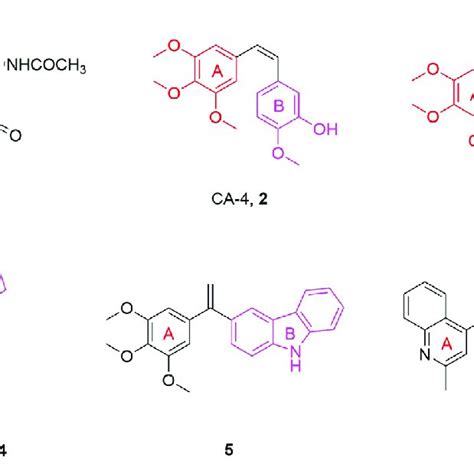 Chemical Structures Of Some Typical Tubulin Polymerization Inhibitors Download Scientific Diagram