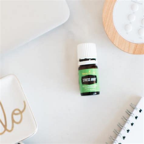 Top 5 Questions About The Desert Mist Diffuser