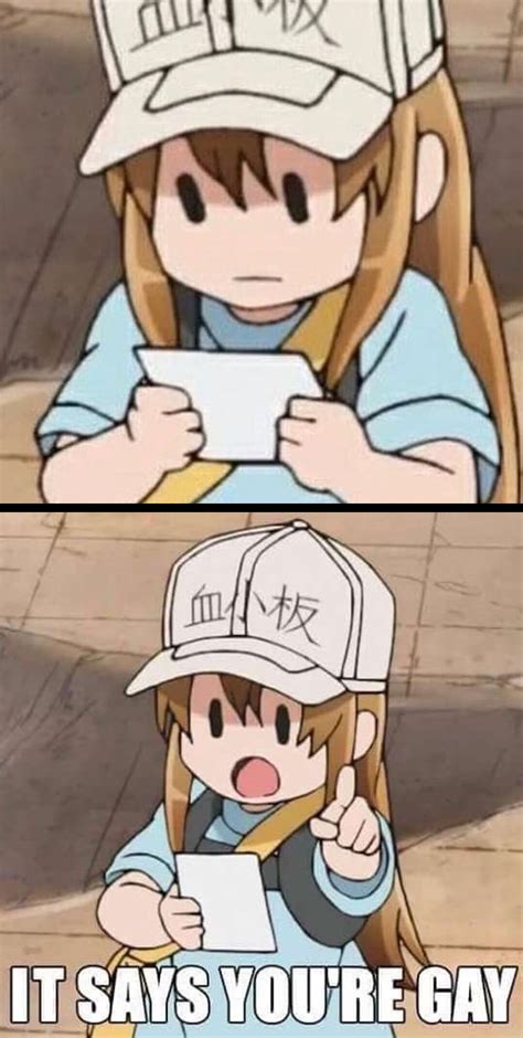 Hey Animemes Guys R Animemes