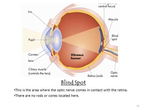 Decoding The Language Of Light The Secret Behind Eye Diagrams In