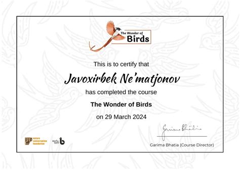 Javoxirbek Nematjonov On Linkedin Thewonderofbirds Earlybird