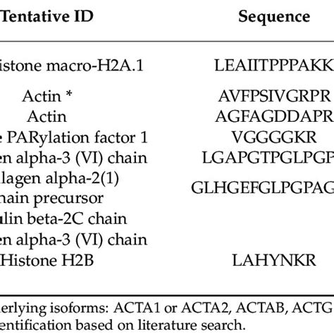 Classification Accuracy Of The Supervised Classification Models