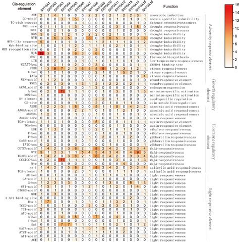 Number Of Varied Cis Regulatory Elements Identified In The Promoter