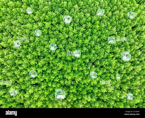 Carbon Neutrality Concept Green Tree Capture Of Carbon Emissions From Factories And