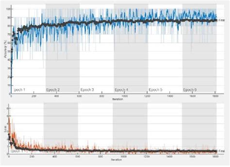 Accuracy And Loss Functions For Flower Dataset Download Scientific Diagram