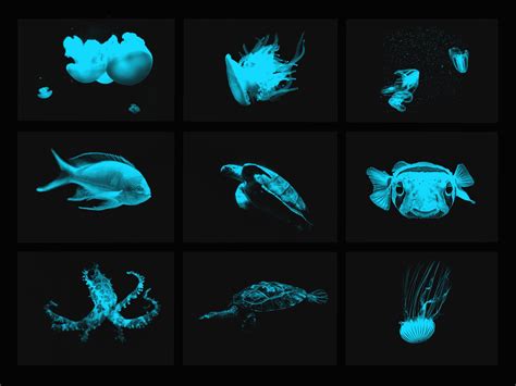 40 Procreate Underwater Ocean Brushes Procreate Sea Brushes Etsy