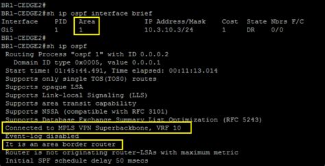 cisco sdwan why the dn bit is used as loop prevention omp vs ospf