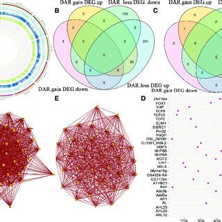 Joint Analysis Of ATAC Seq And RNA Seq A The Circus Map Of ATAC Seq Download Scientific