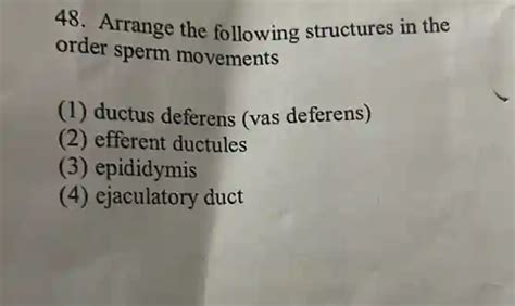 arrange the following structures in the order sperm movements 1
