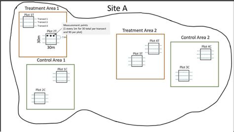 Illustration Of Sample Site Treatment Area Pairs And Transect Lines