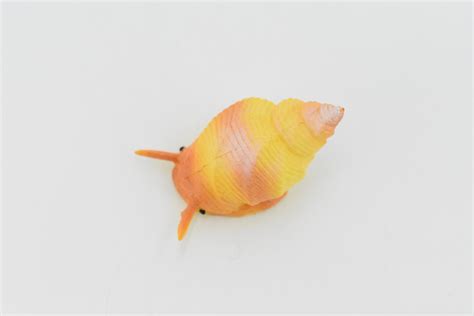 Whelk Shell Carnivorous Sea Snail Ocean Sea Life Plastic Figure
