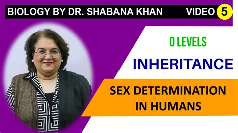 Dr Shabana Khan O Level Inheritance Sex Determination In Humans Youtube