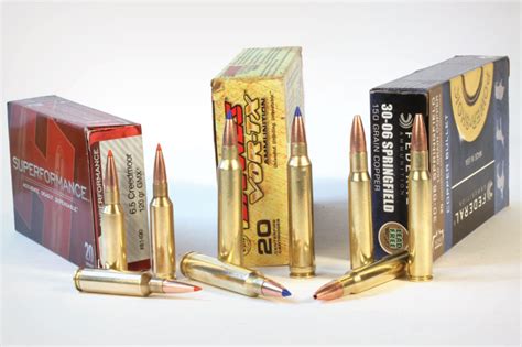 9th Circuit Issues Stay Against Ammo Injunction Rifleshooter