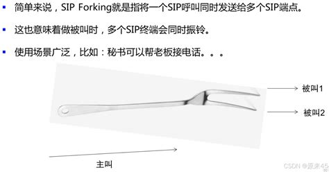 什么是 Sip 及 Ims 中的 Forkingsip Forking Csdn博客