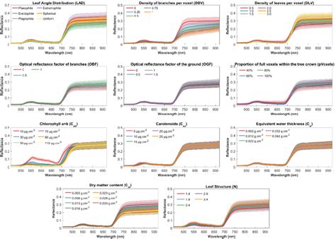 Variation In The Spectral Response Of The Simulated Individual Tree