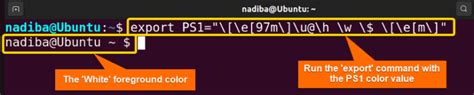 What Is PS Variable In Bash Customization Examples
