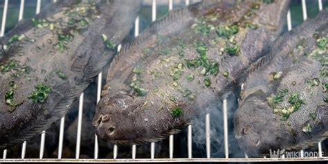 뼈까지 먹을 수 있다 피카소도 반했다는 한국 생선의 정체 위키푸디 Wikifoodie