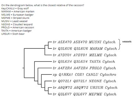 Solved On The Dendrogram Below What Is The Closest Relative Of The